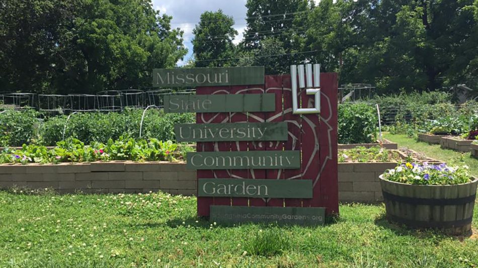 Growing a community garden - News - Missouri State University